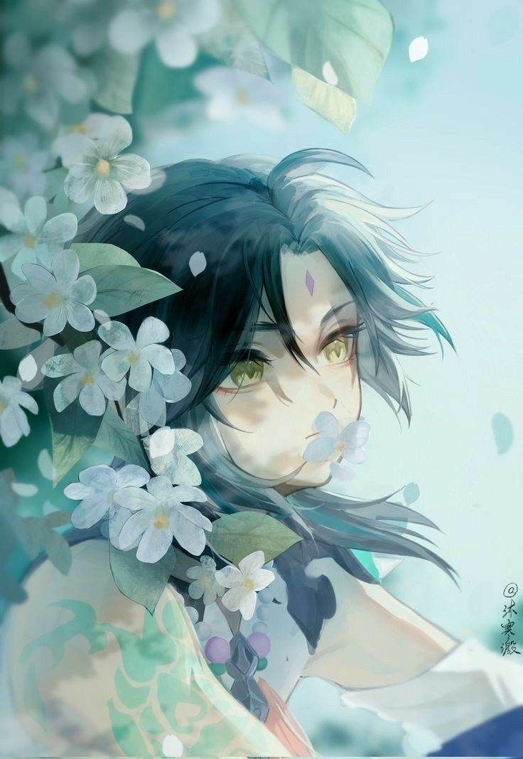 it's Spring Time Xiao Genshin Impact | HoYoLAB