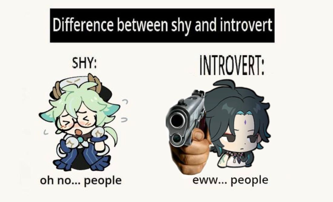 It’s best to know the difference between a shy and introvert: Genshin ...