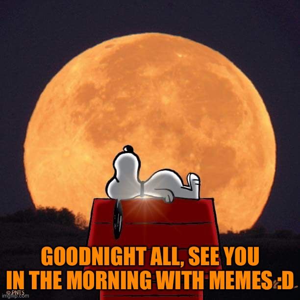 see you guys tomorrow. | HoYoLAB