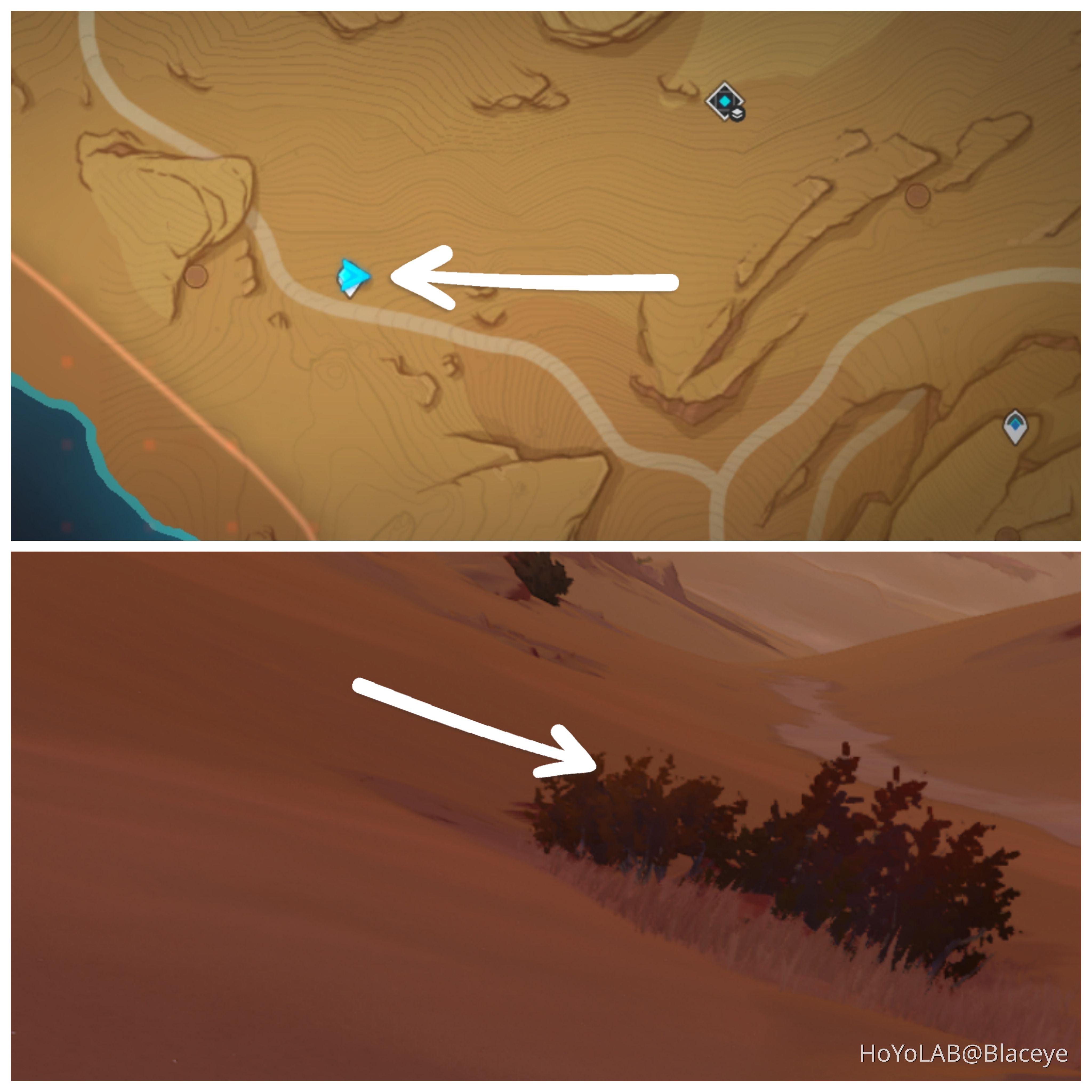 The Last (271) Hidden Dendroculus Location (Underground) + Realm of ...