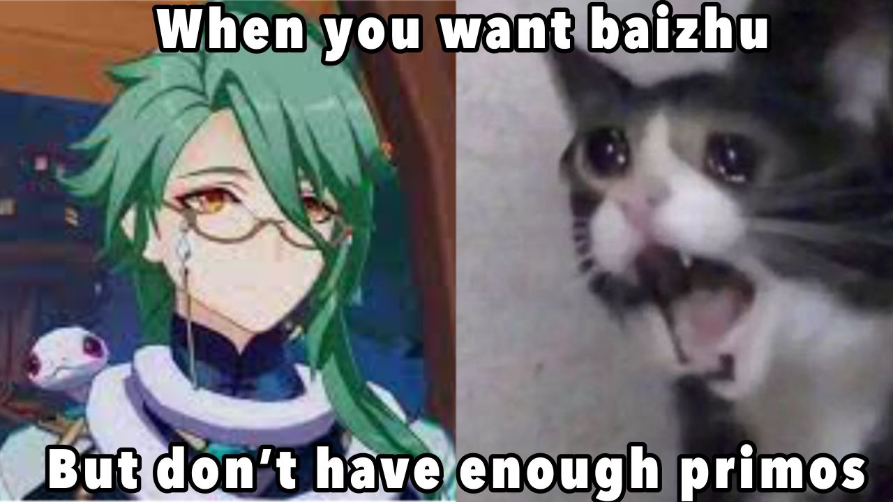 When you want baizhu but don’t have enough Genshin Impact | HoYoLAB