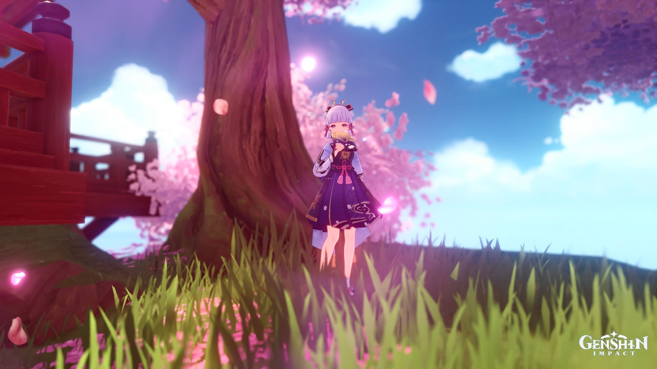 Ayaka amidst the sakura tree’s~ Genshin Impact | HoYoLAB