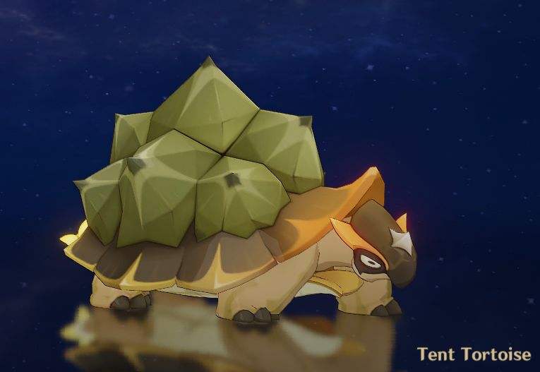 Turtle enemy Genshin Impact | HoYoLAB