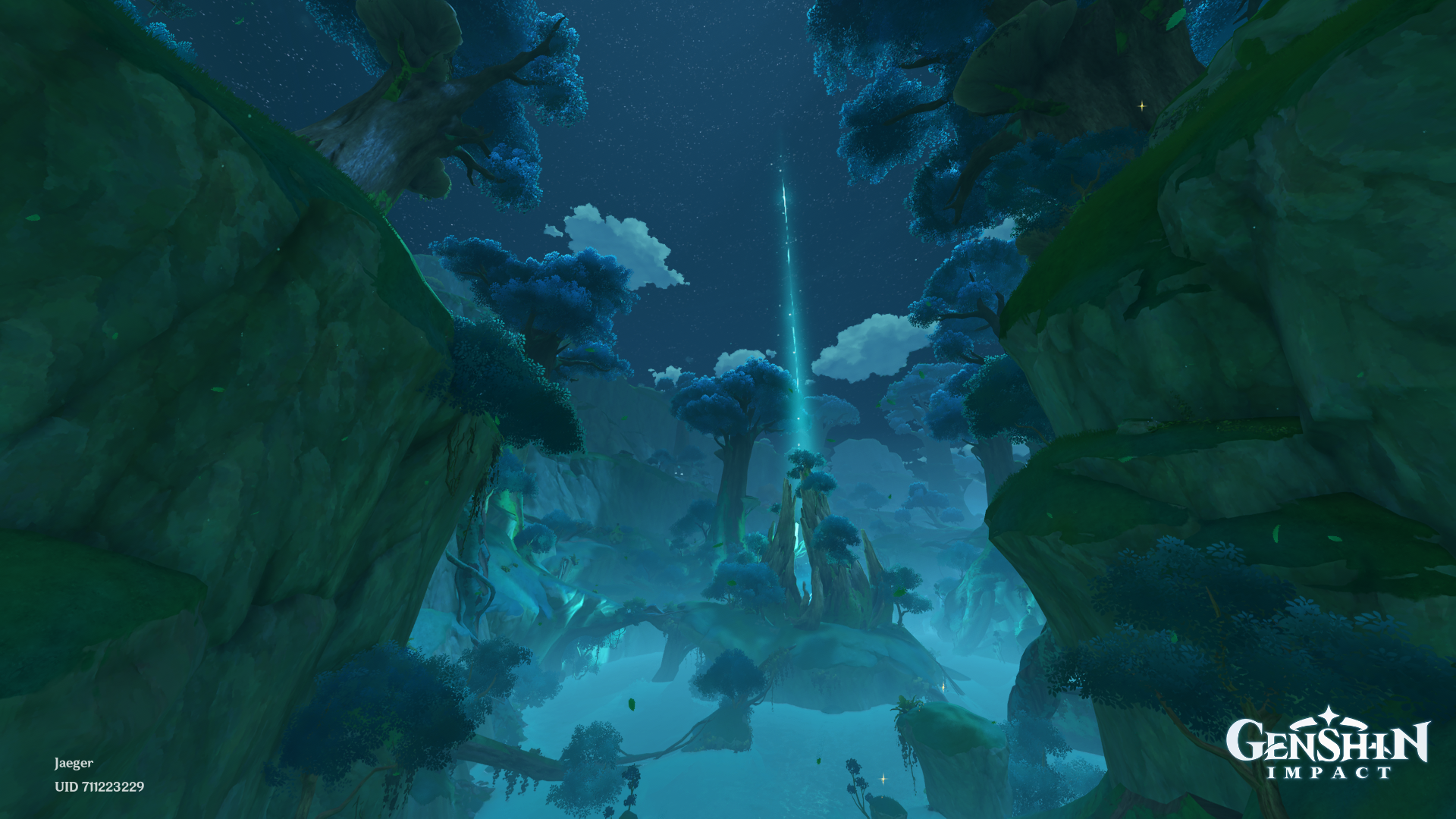 Sumeru Forest Night Time Genshin Impact | HoYoLAB