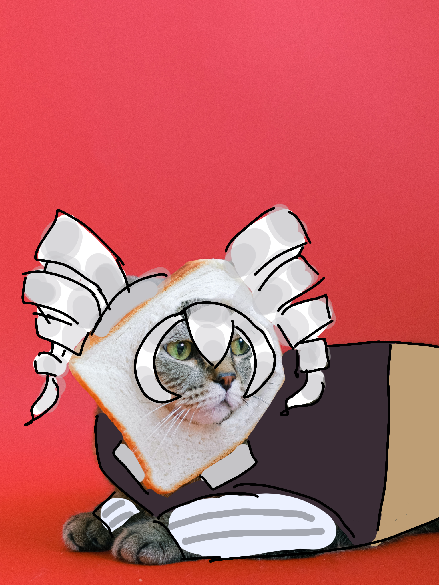 cat bronya Honkai Impact 3rd | HoYoLAB