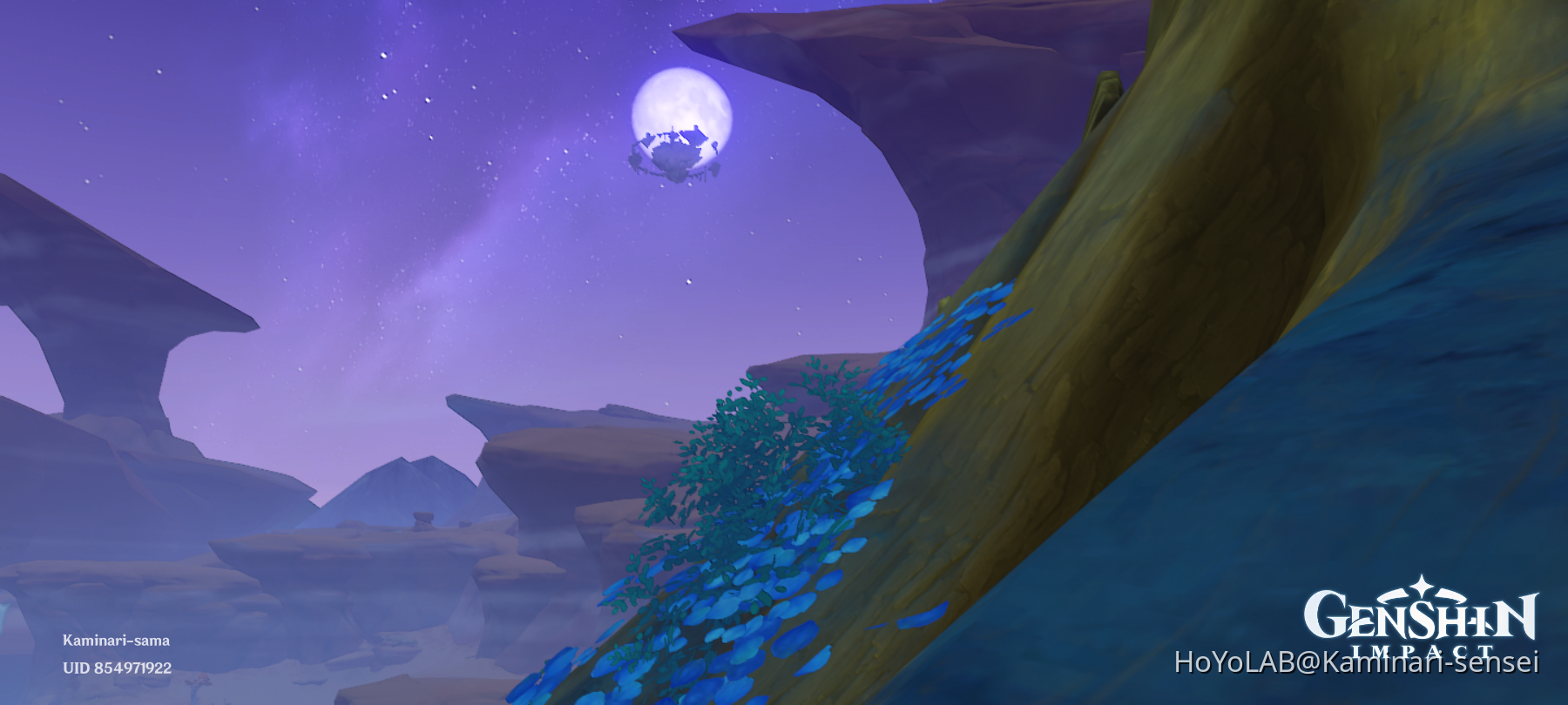 moonlight photography Genshin Impact | HoYoLAB