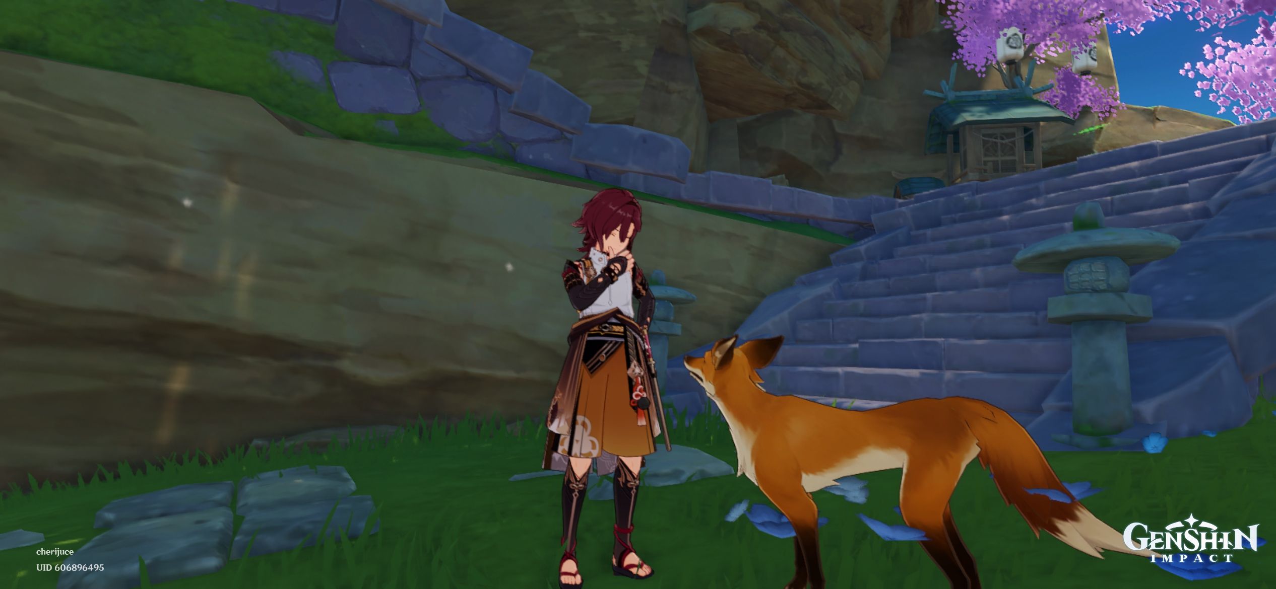 hello fox Genshin Impact | HoYoLAB