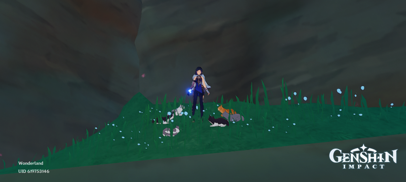 ritual going on Genshin Impact | HoYoLAB