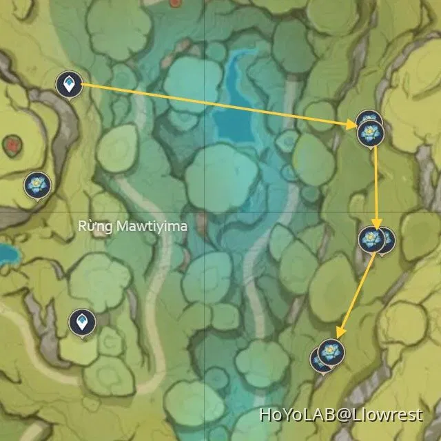 Hướng dẫn thu thập "Sen Kalpalata" Genshin Impact | HoYoLAB