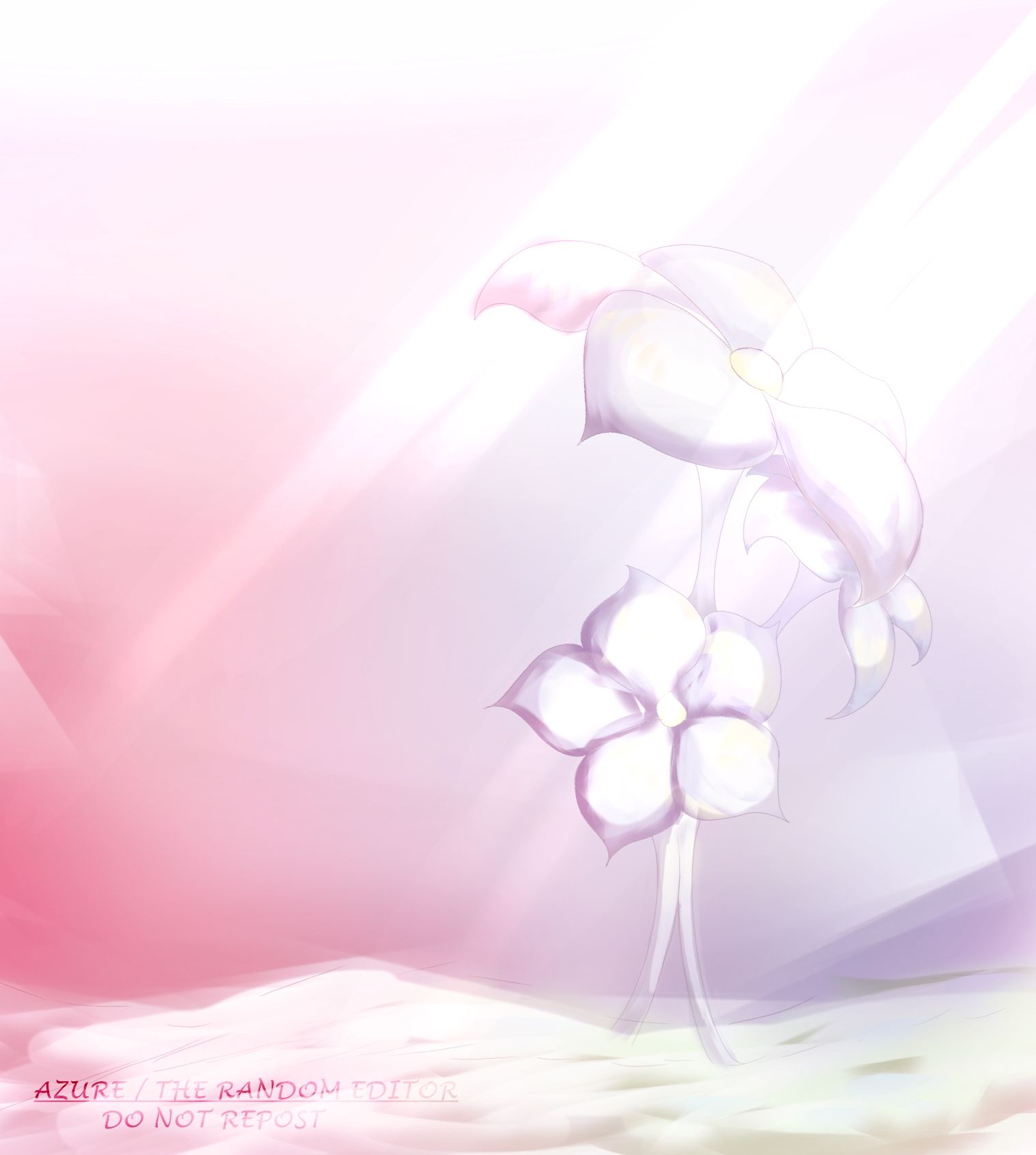 Flower Genshin Impact | HoYoLAB