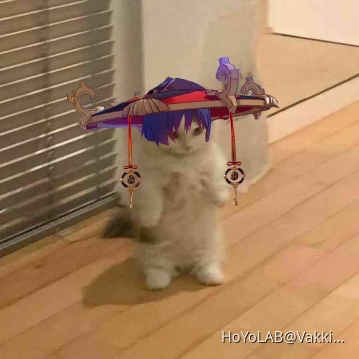 Scaramouche/Wanderer Memes Pt. 3 Genshin Impact | HoYoLAB