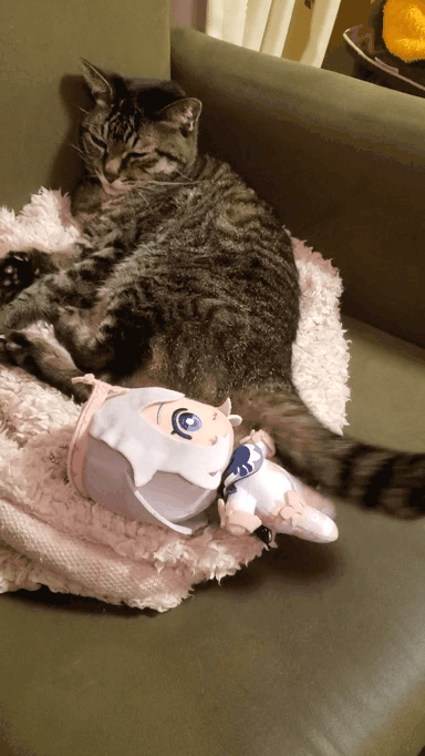 Help meeeeee !! cat gif Genshin Impact | HoYoLAB