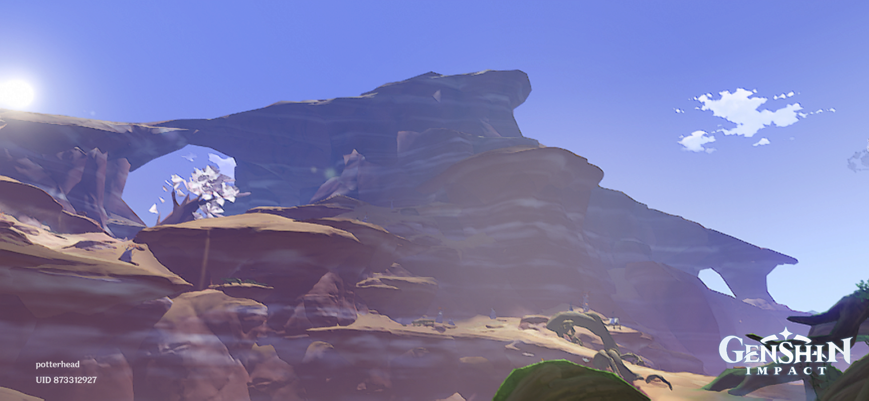 Sumeru's new area Genshin Impact | HoYoLAB