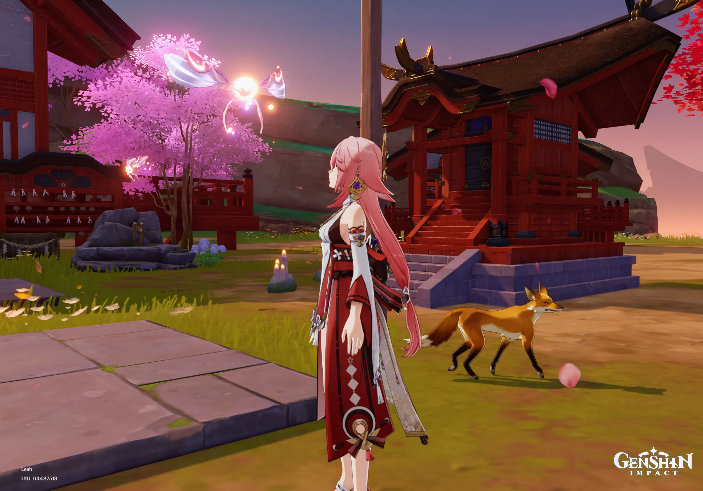 Shrine maiden or a curious Kitsune Genshin Impact | HoYoLAB