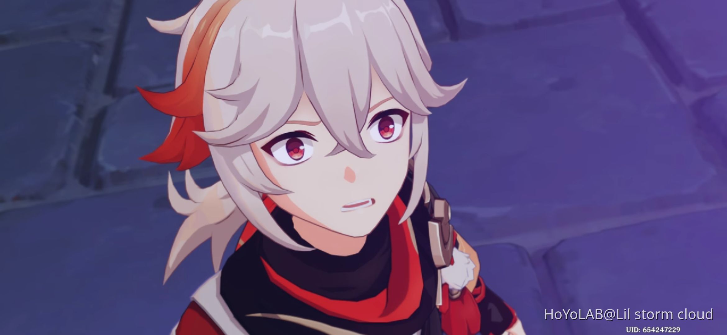 Signora & Raiden Shogun Genshin Impact | HoYoLAB