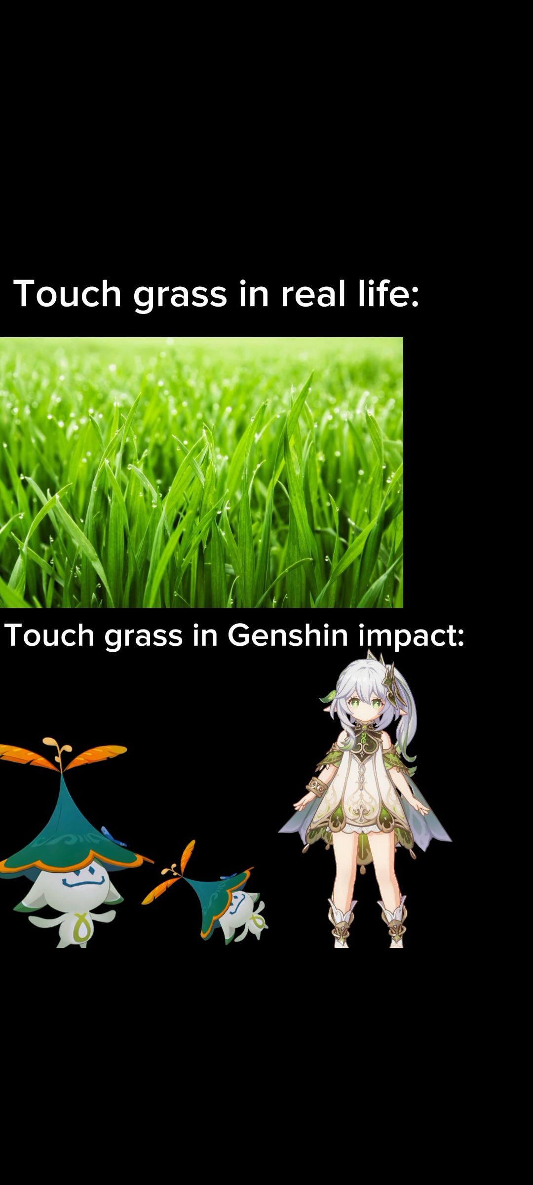 Touch grass Genshin Impact | HoYoLAB