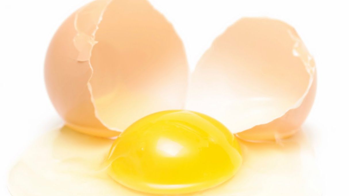 Egg = Life, or the creation of Teyvat Genshin Impact | HoYoLAB