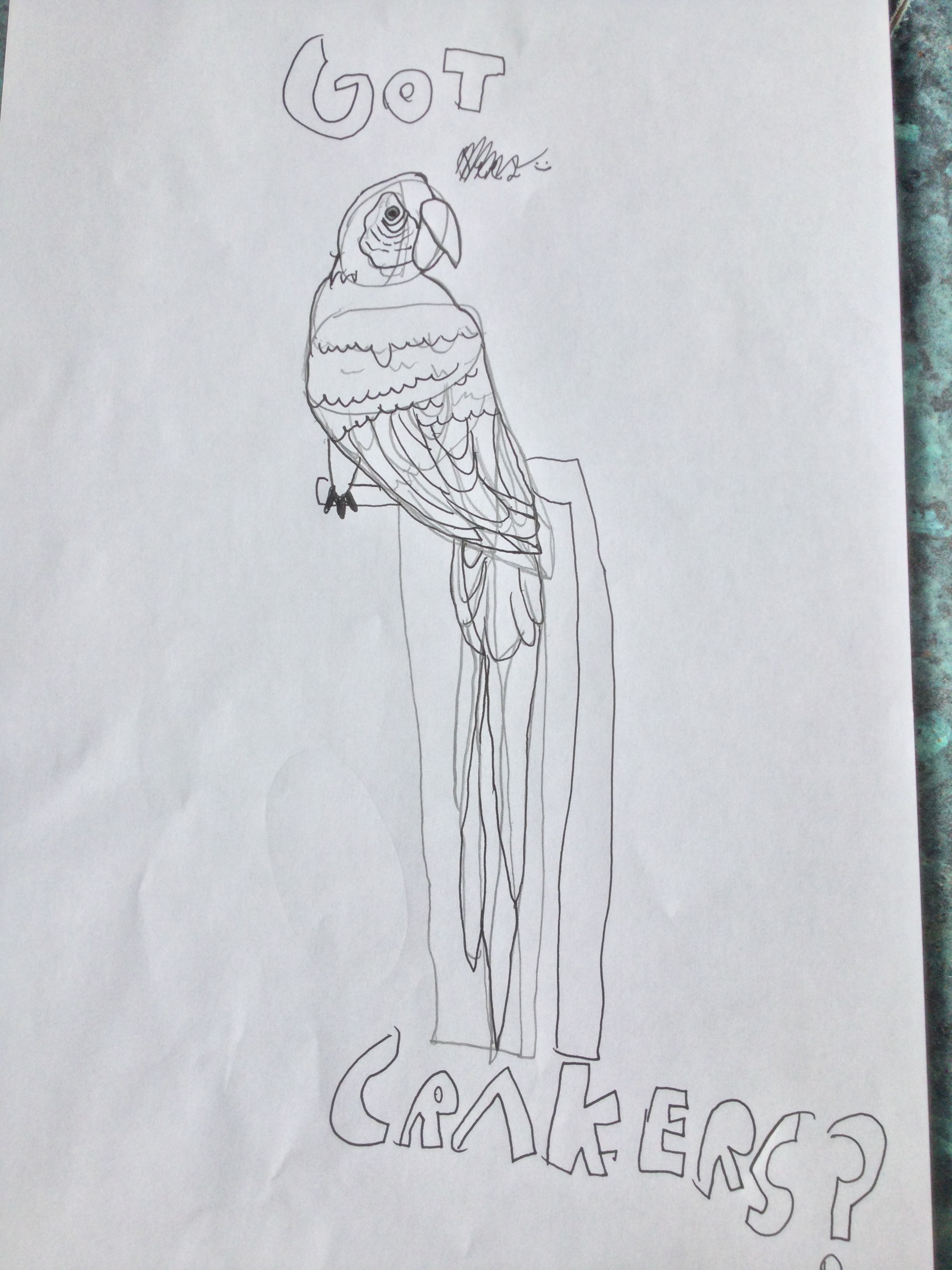 Some birb drawings | HoYoLAB