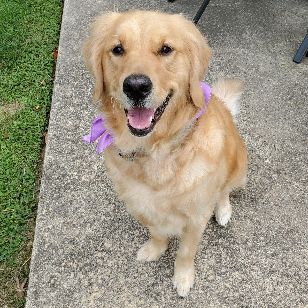 My favorite twerps ♡ | HoYoLAB