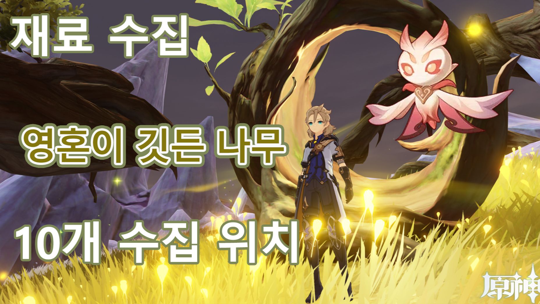 【V3.6】재료 수집 | 영혼이 깃든 나무 | 10개 수집 위치 Genshin Impact | HoYoLAB