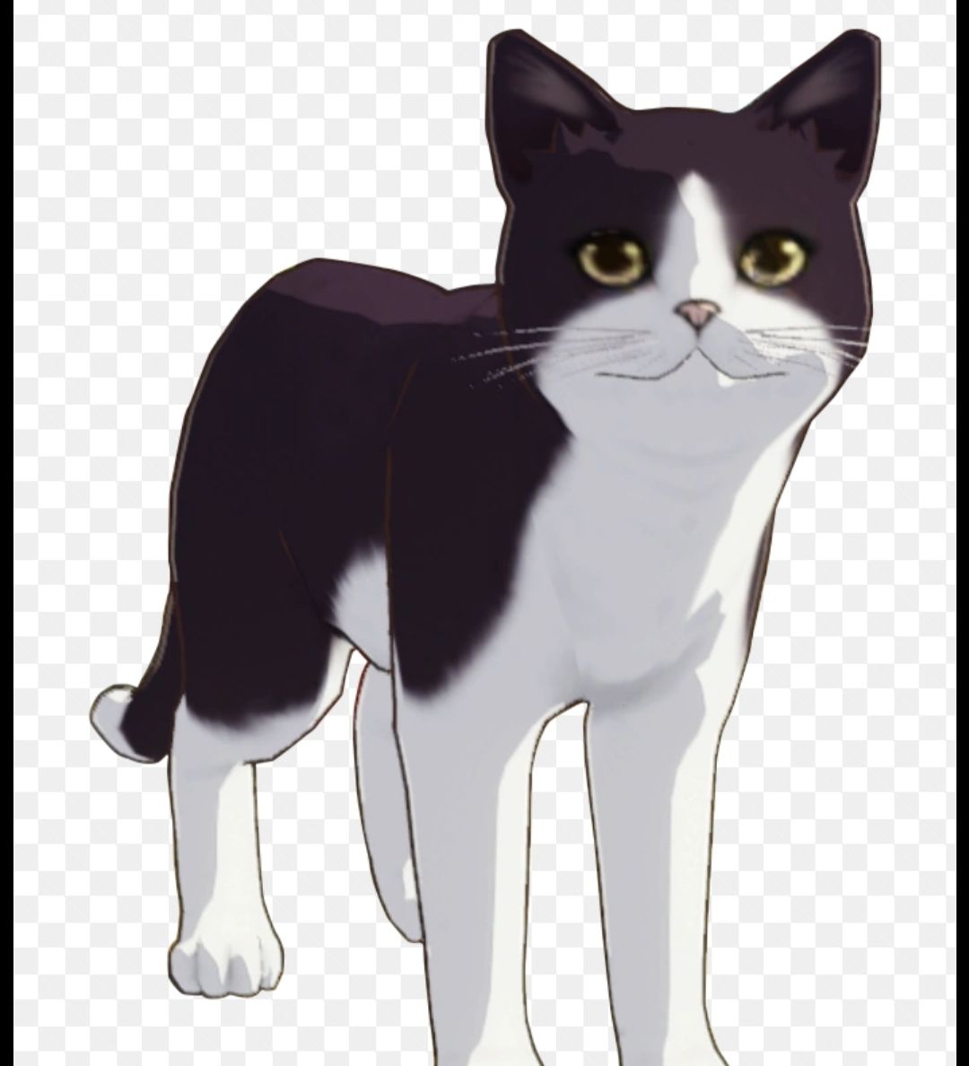 CATS. Genshin Impact | HoYoLAB