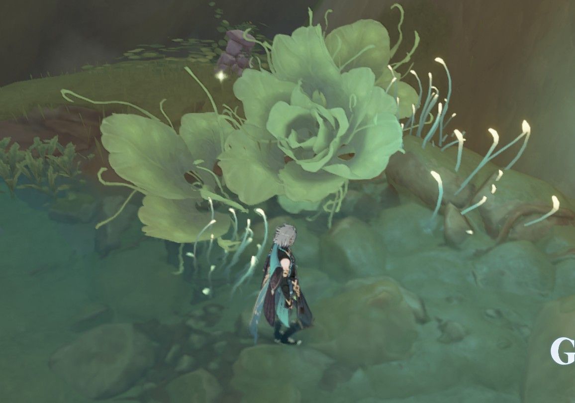 These roses are beauuutifuuulll! Genshin Impact | HoYoLAB