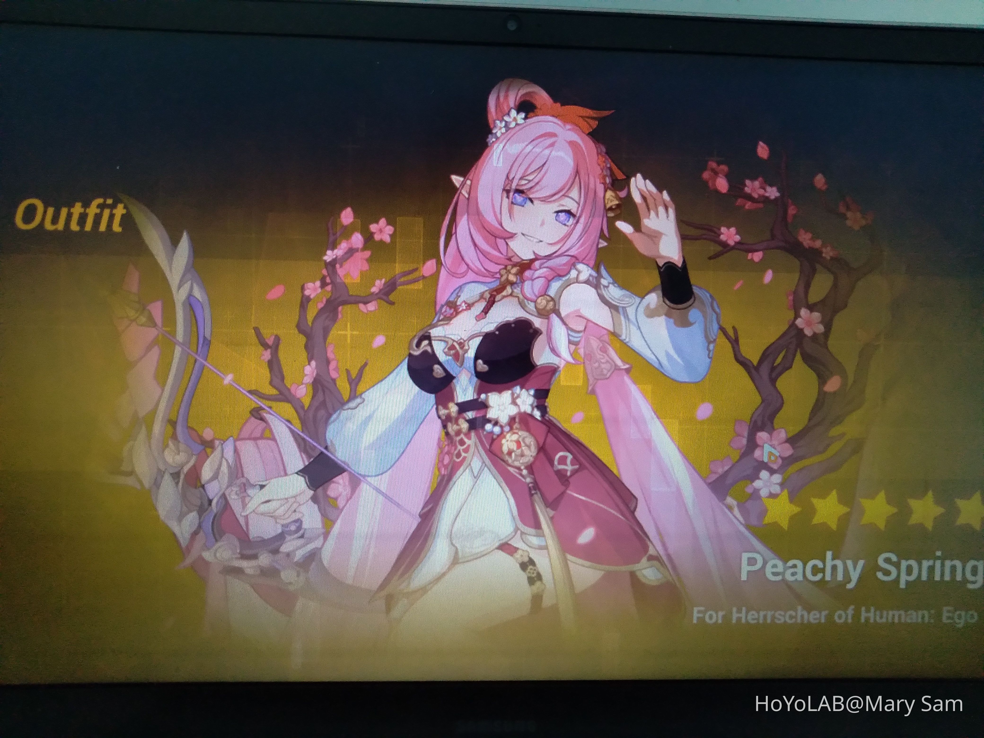 Skin da Elysia Honkai Impact 3rd | HoYoLAB