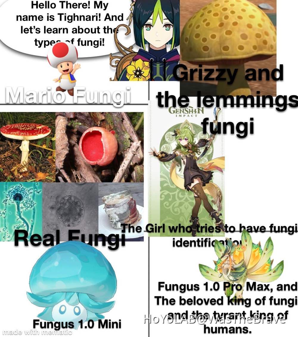 The Almighty Arataki and exhilarating Fungal Meme Genshin Impact | HoYoLAB