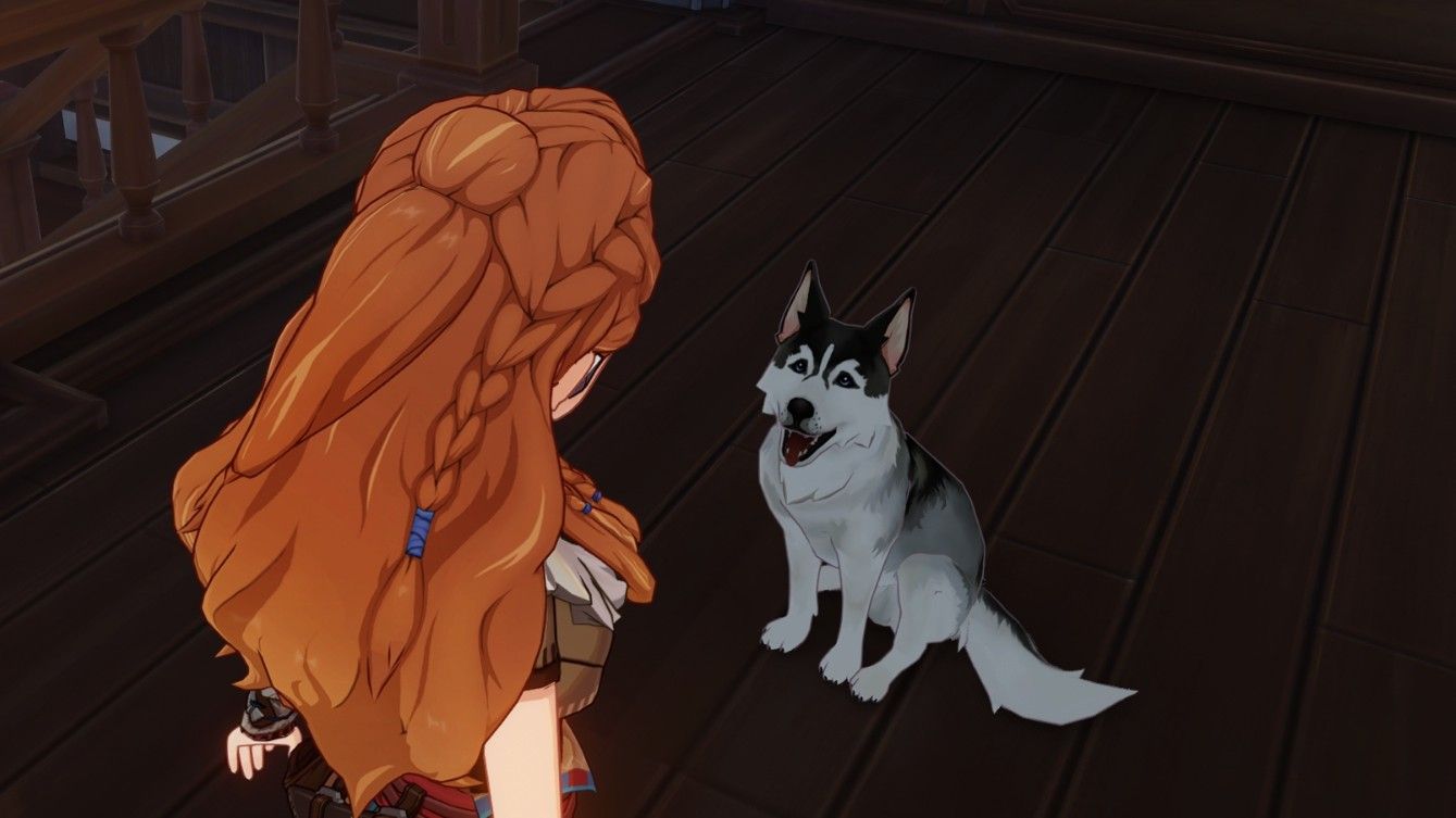 Dog Genshin Impact | HoYoLAB