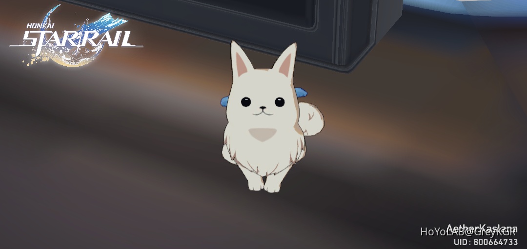 Dog Honkai: Star Rail | HoYoLAB