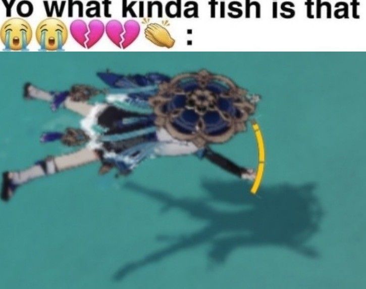 Wanderer memes Genshin Impact | HoYoLAB