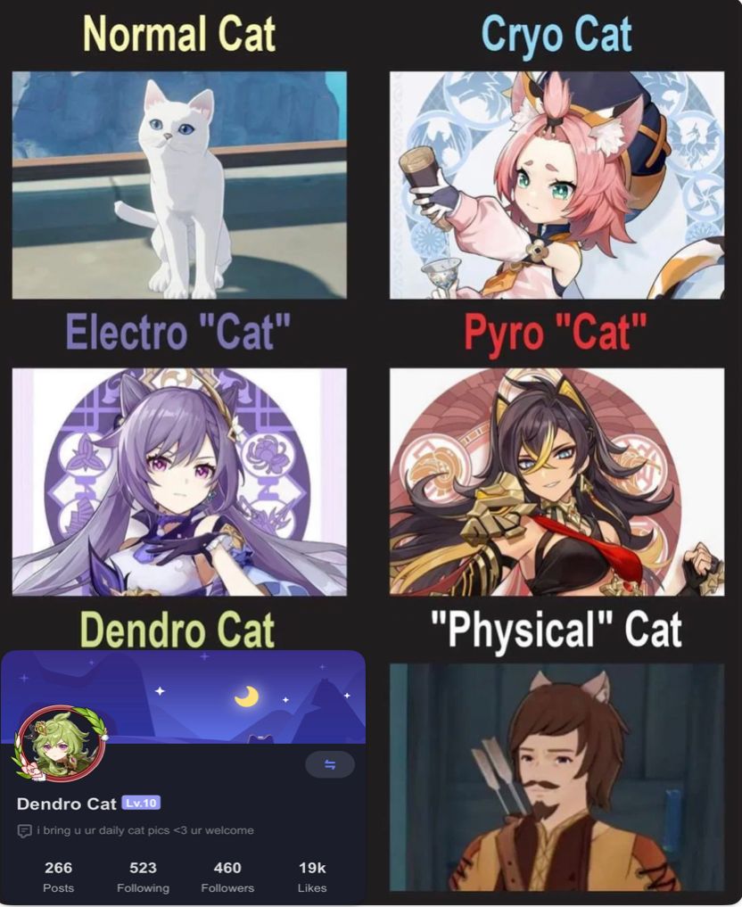 I changed the meme Genshin Impact | HoYoLAB