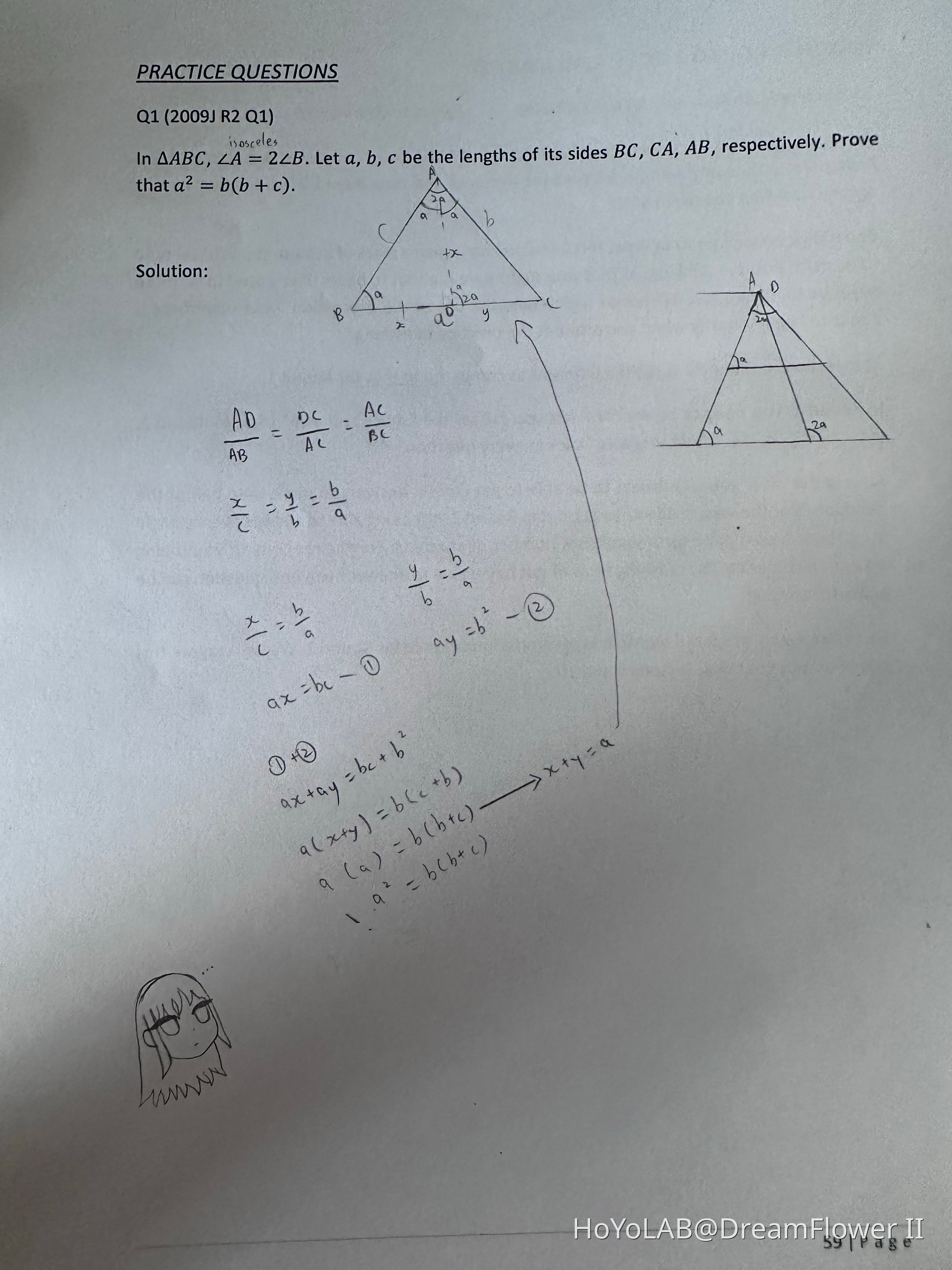 Me in math competition training be like | HoYoLAB
