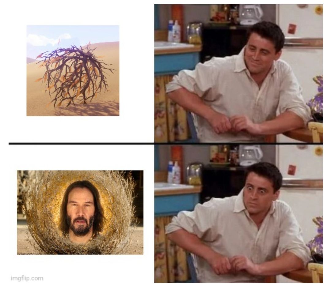 Tumbleweed = Sage Ball Genshin Impact | HoYoLAB