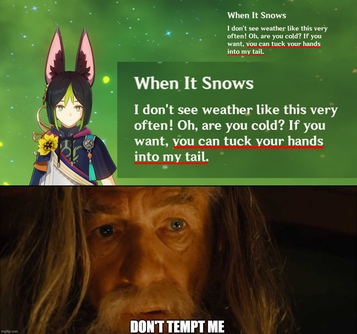 ...Tighnari please stop Genshin Impact | HoYoLAB