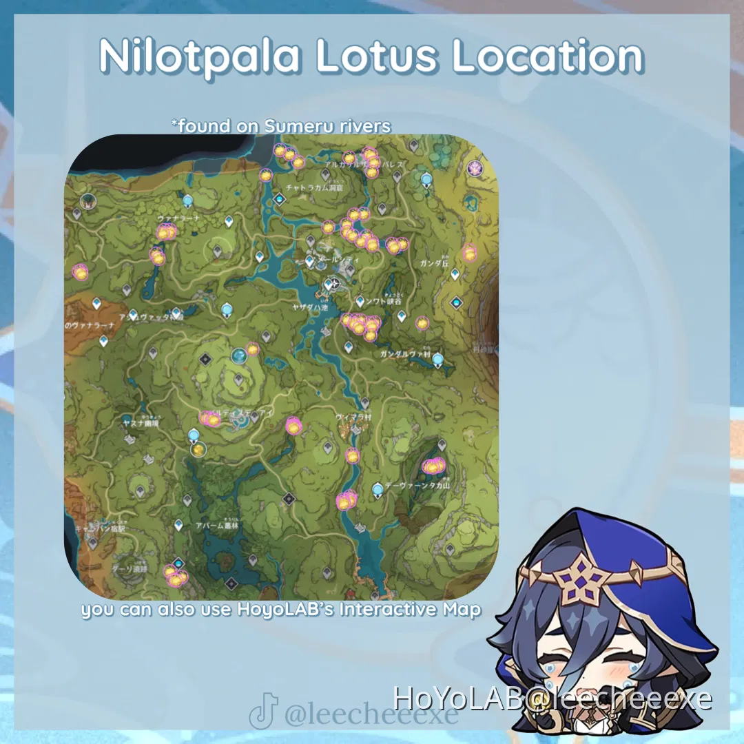 [3.5] Layla - Ascension and Talent Materials Genshin Impact | HoYoLAB