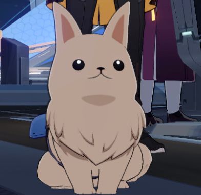 BRO PEPPY LOOKS SO CUTE- Honkai: Star Rail | HoYoLAB