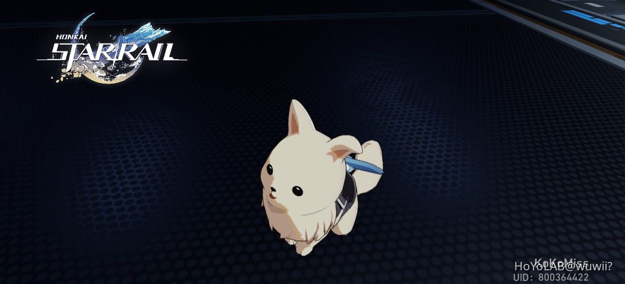 Why peppy so cute Honkai: Star Rail | HoYoLAB