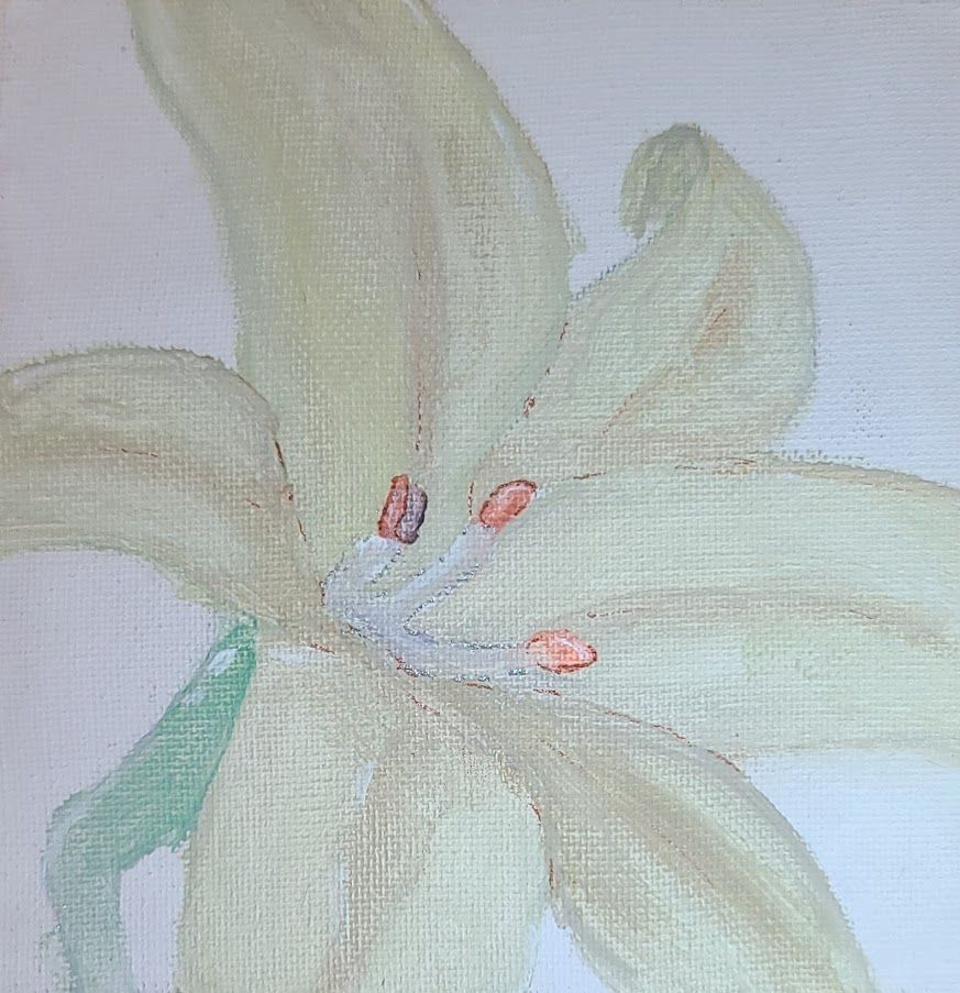 Cecilia Flower painting Genshin Impact | HoYoLAB