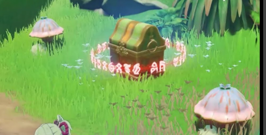 The Forests of Sumeru IRL Genshin Impact | HoYoLAB