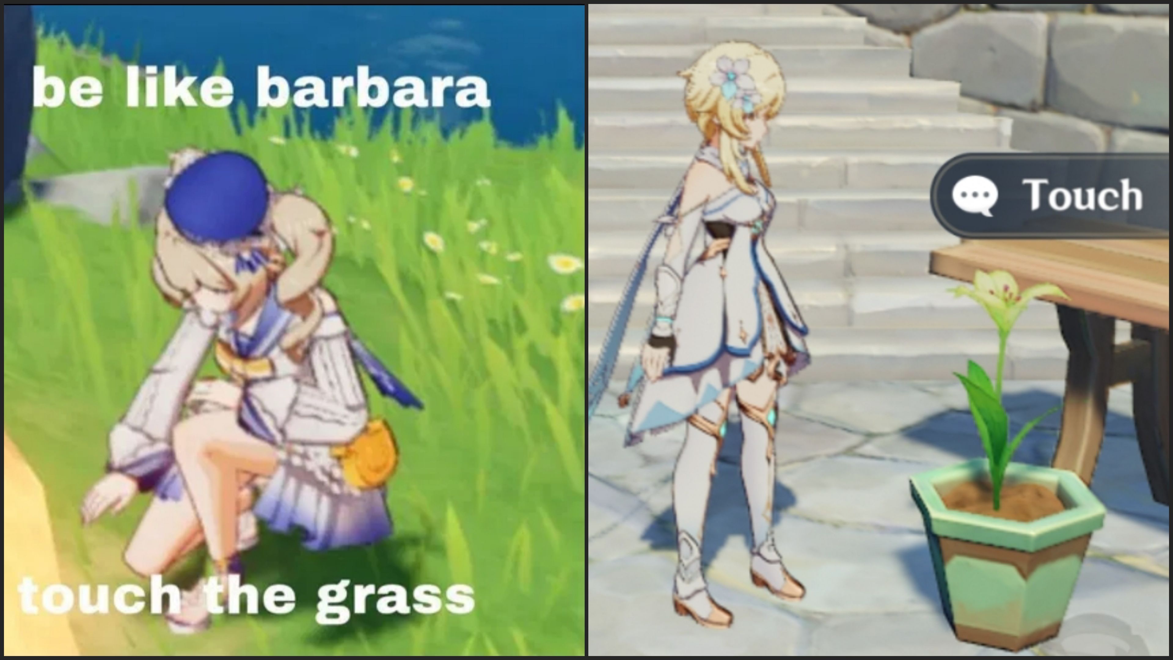 Touching grass Genshin Impact | HoYoLAB