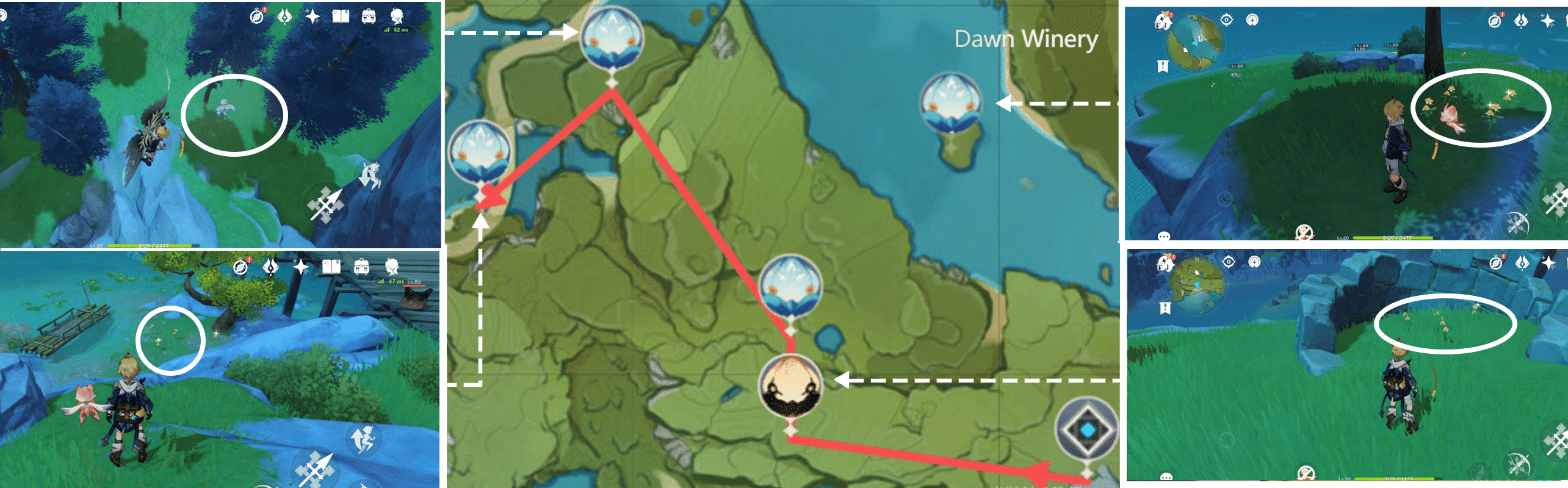 เส้นทางการสังหาร Whopperflower×45 อย่างมีประสิทธิภาพ Genshin Impact ...