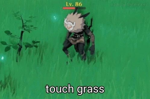 TOUCH. THE. GRASS. Genshin Impact | HoYoLAB