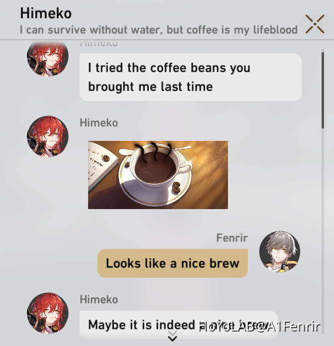 I love Himeko so Much Honkai: Star Rail | HoYoLAB