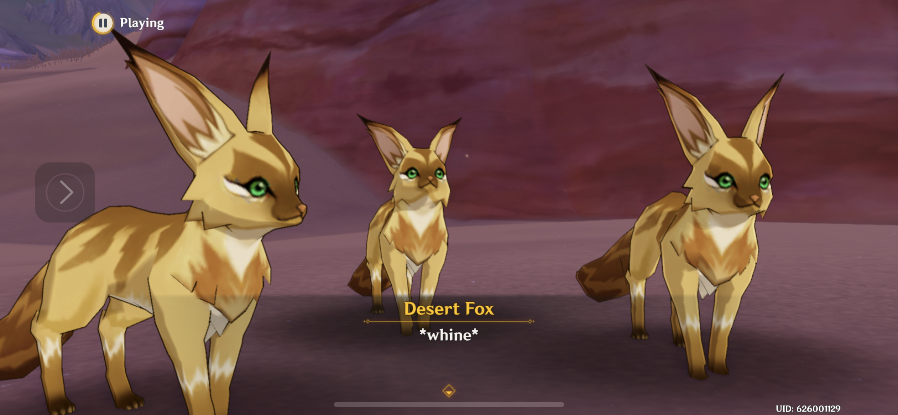 Why can’t we have cute foxes running behind us. *whine* 🥺🥹 Genshin ...