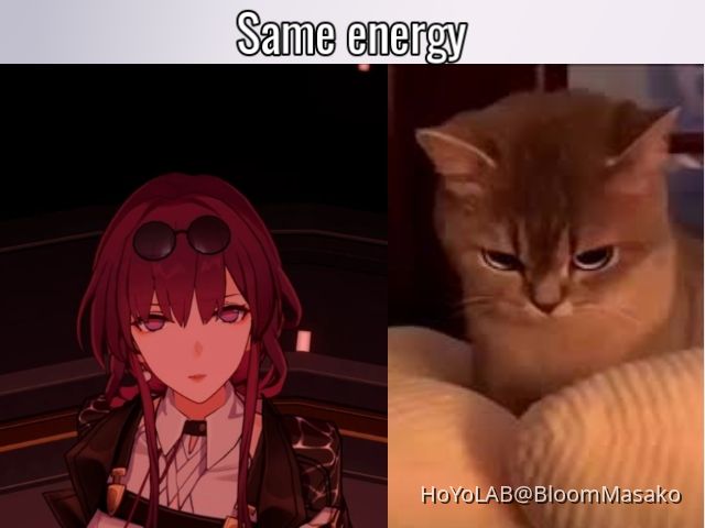 Hsr memes by me Honkai: Star Rail | HoYoLAB