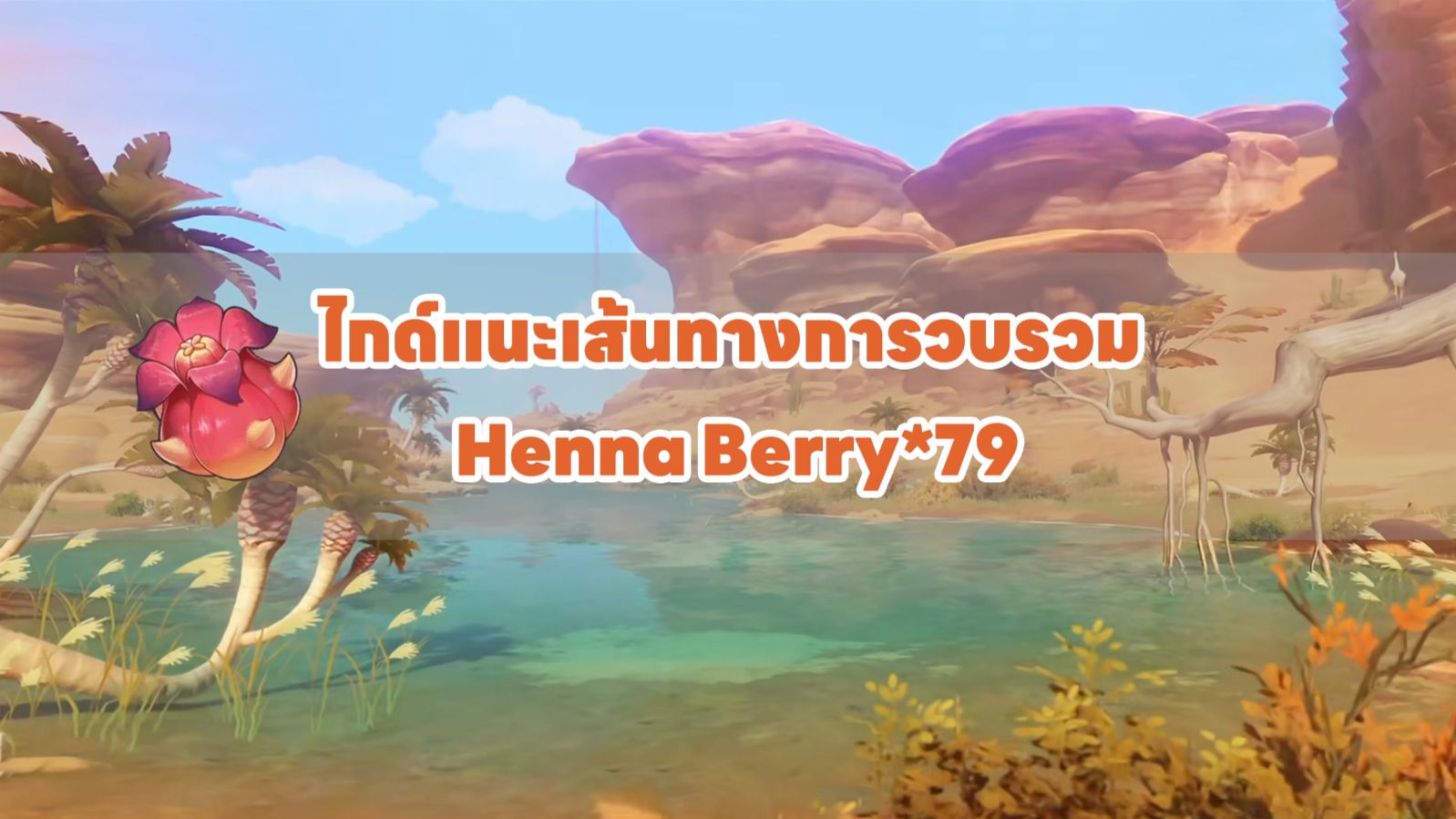 ไกด์แนะเส้นทางการวบรวม Henna Berry*79 Genshin Impact | HoYoLAB