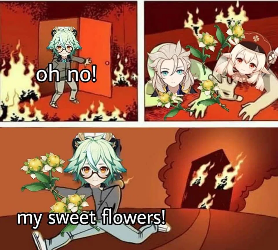 A few more Sucrose memes