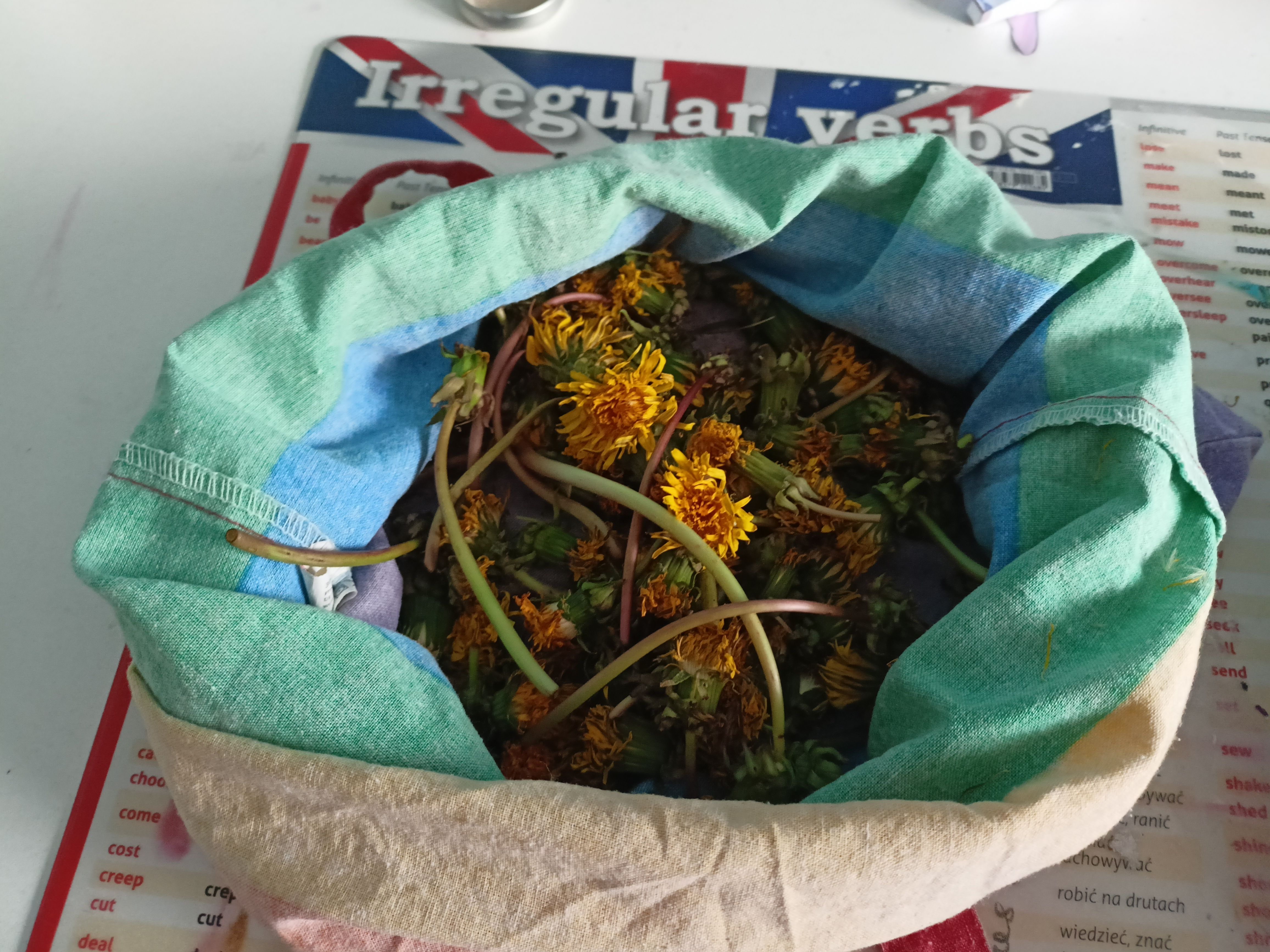 Farming for Jean😎😎 Genshin Impact | HoYoLAB