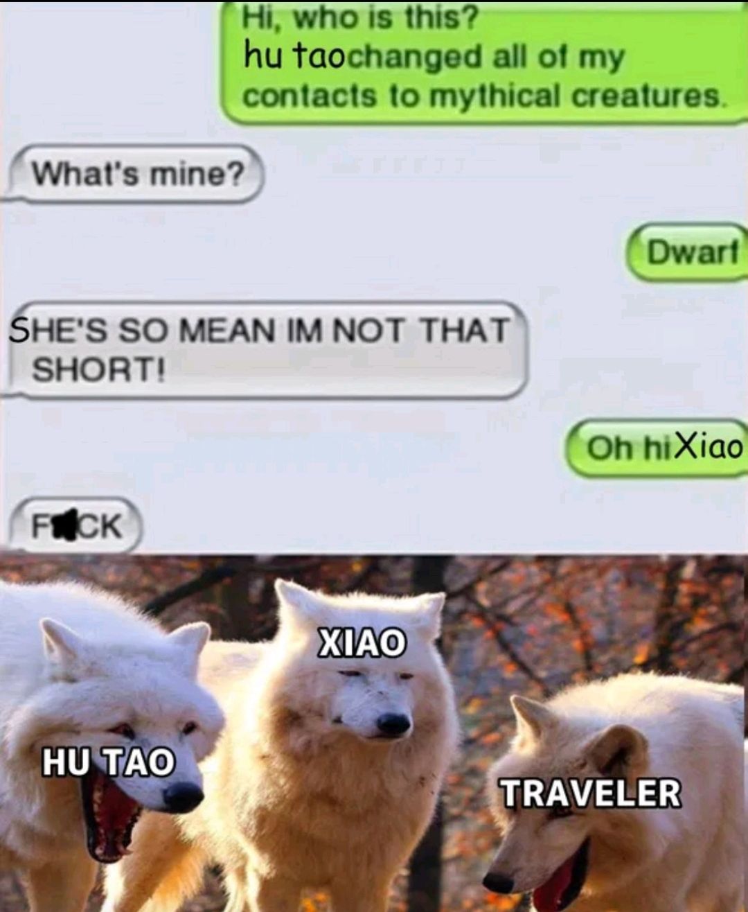 One funny meme for u | HoYoLAB